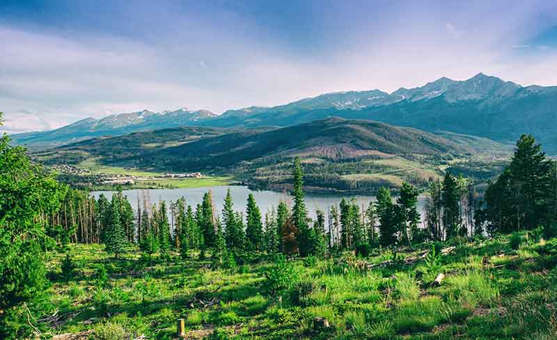 What Drivers Should Know About Colorado’s New ‘Hands-Free’ Law ...